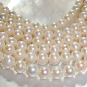 Lustrous Genuine Round Fresh Water Pearls, Creamy White Freshwater ...