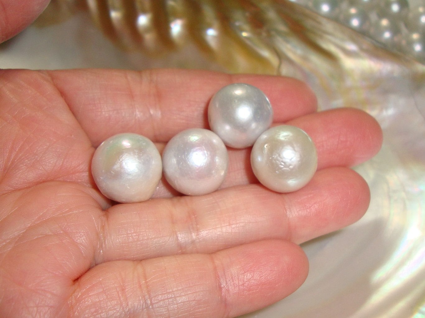Freshwater Pearl Huge Round Nucleated Bead Pearl, 13-14mm, 5/8", 2 Pcs ...