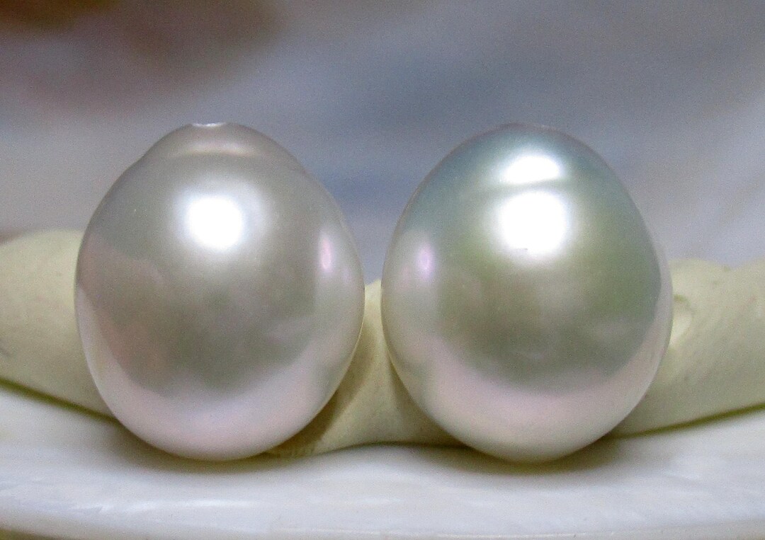 Freshwater Pearl, Nucleated Organic Drop Pearl, 2 Pcs, 12-13x10-10.5mm ...