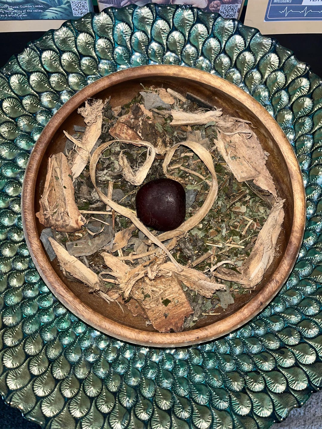 African Dream Root, Egyptian Blue Lotus, Pink Lotus, Ayahuma, Mexican ...