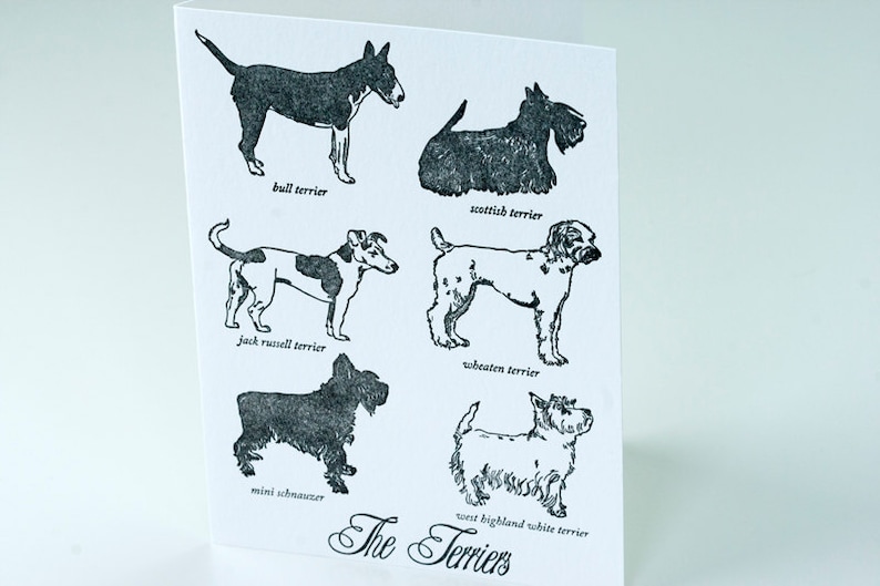 SALE - Letterpress Terriers Dog Breed Card - - 60% Off - Etsy