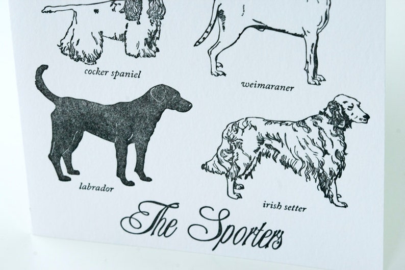SALE - Letterpress Sporting Dog Breed Card -60% Off - Etsy