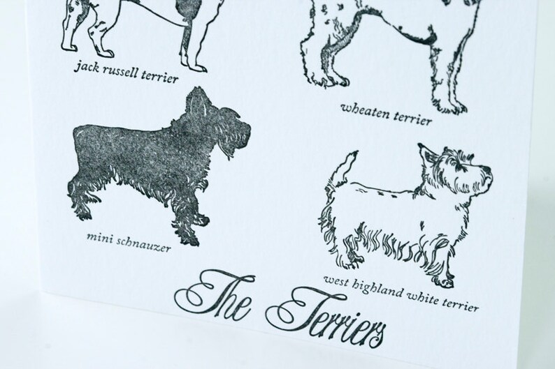 SALE - Letterpress Terriers Dog Breed Card - - 60% Off - Etsy