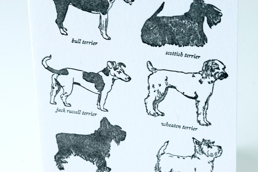 SALE - Letterpress Terriers Dog Breed Card - - 60% Off - Etsy