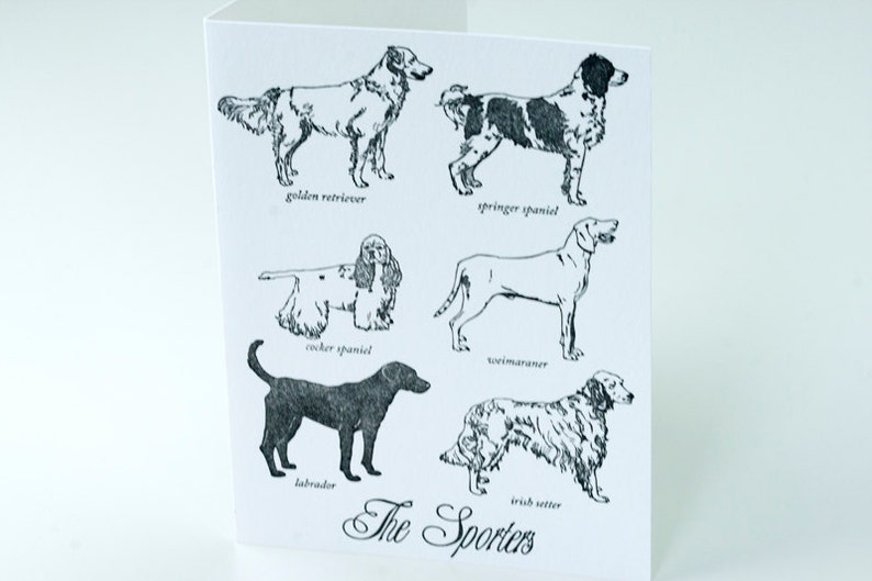 SALE - Letterpress Sporting Dog Breed Card -60% Off - Etsy