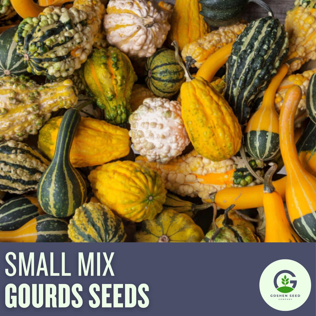 Small Mixed Gourd Seeds - Heirloom Seeds, Desert Native Plants, Easy to ...