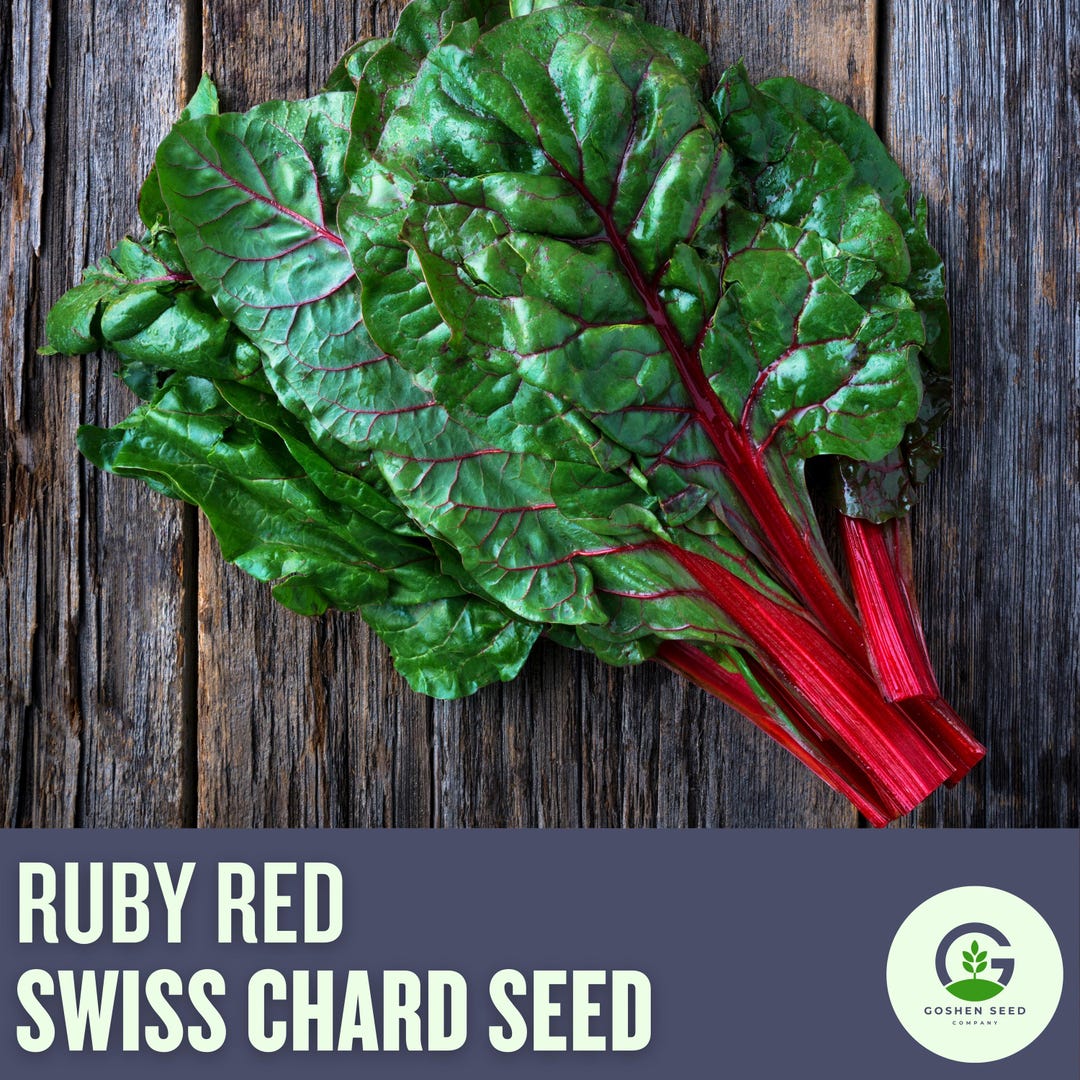 Ruby Red Swiss Chard Microgreen Seeds – Heirloom, Vibrant Color, Fast ...