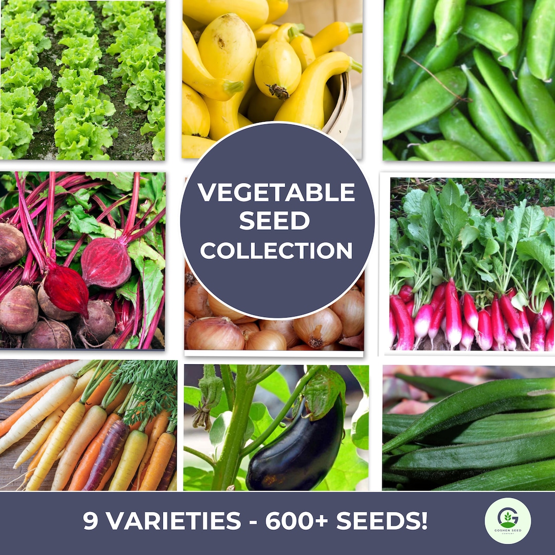Heirloom Vegetable Seed Collection: 9 Non-gmo Varieties - Etsy