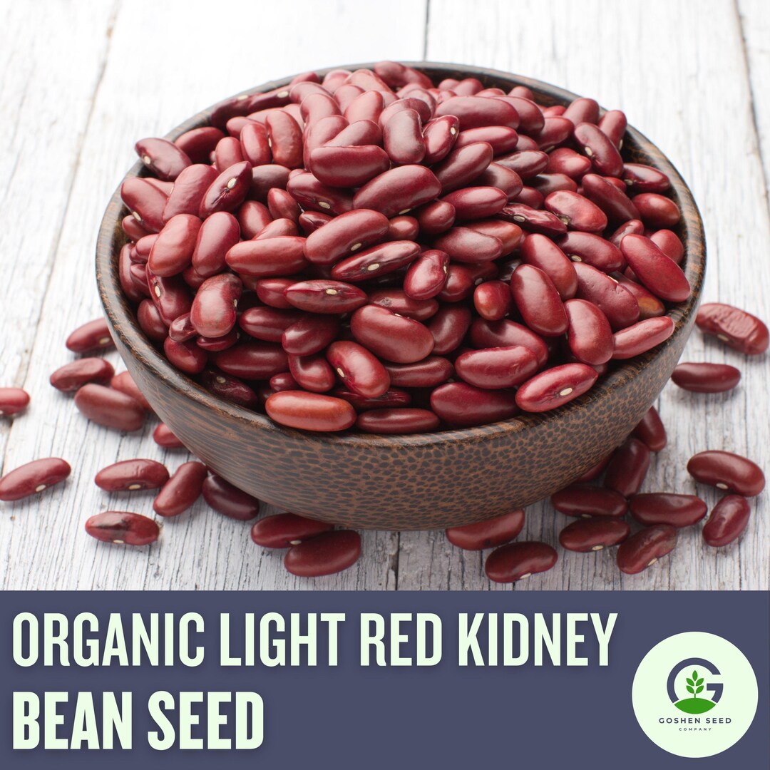 Organic Light Red Kidney Bean Seeds – Heirloom, High Protein, Non-gmo ...