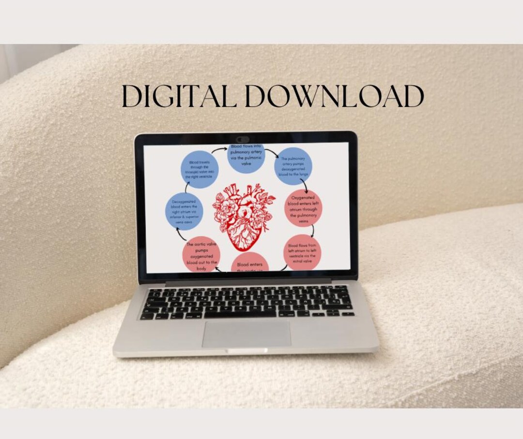 Path of Blood Through Heart Cardiac Study Guide - Etsy