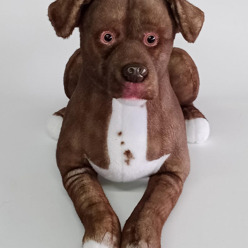 Realistic Stuffed Dogs - Etsy