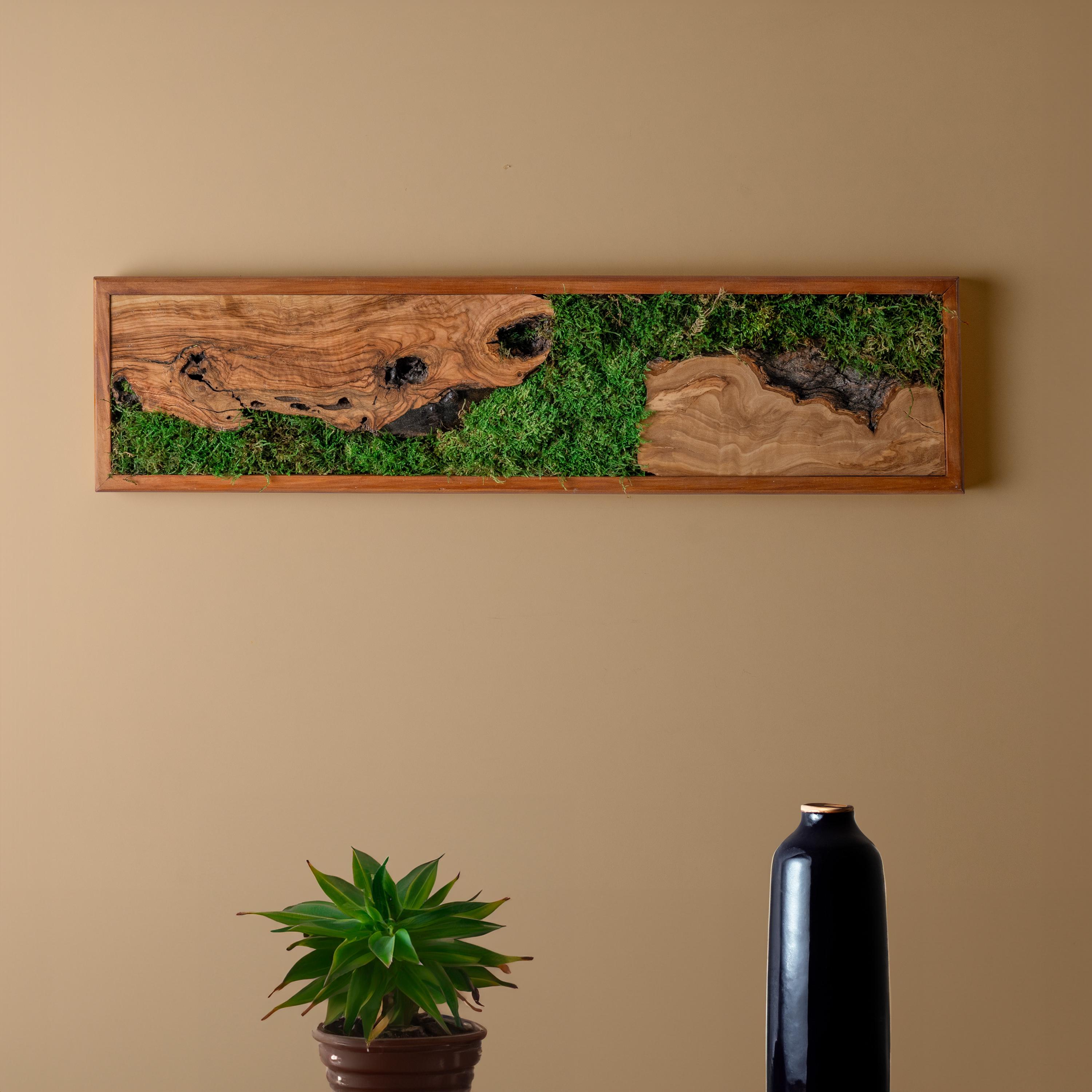 Moss and Olive Wood Wall Art, Preserved Stabilized Moss Wall Decor ...
