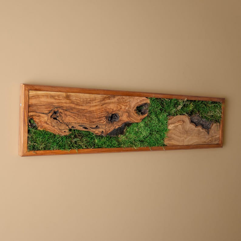 Moss and Olive Wood Wall Art, Preserved Stabilized Moss Wall Decor ...