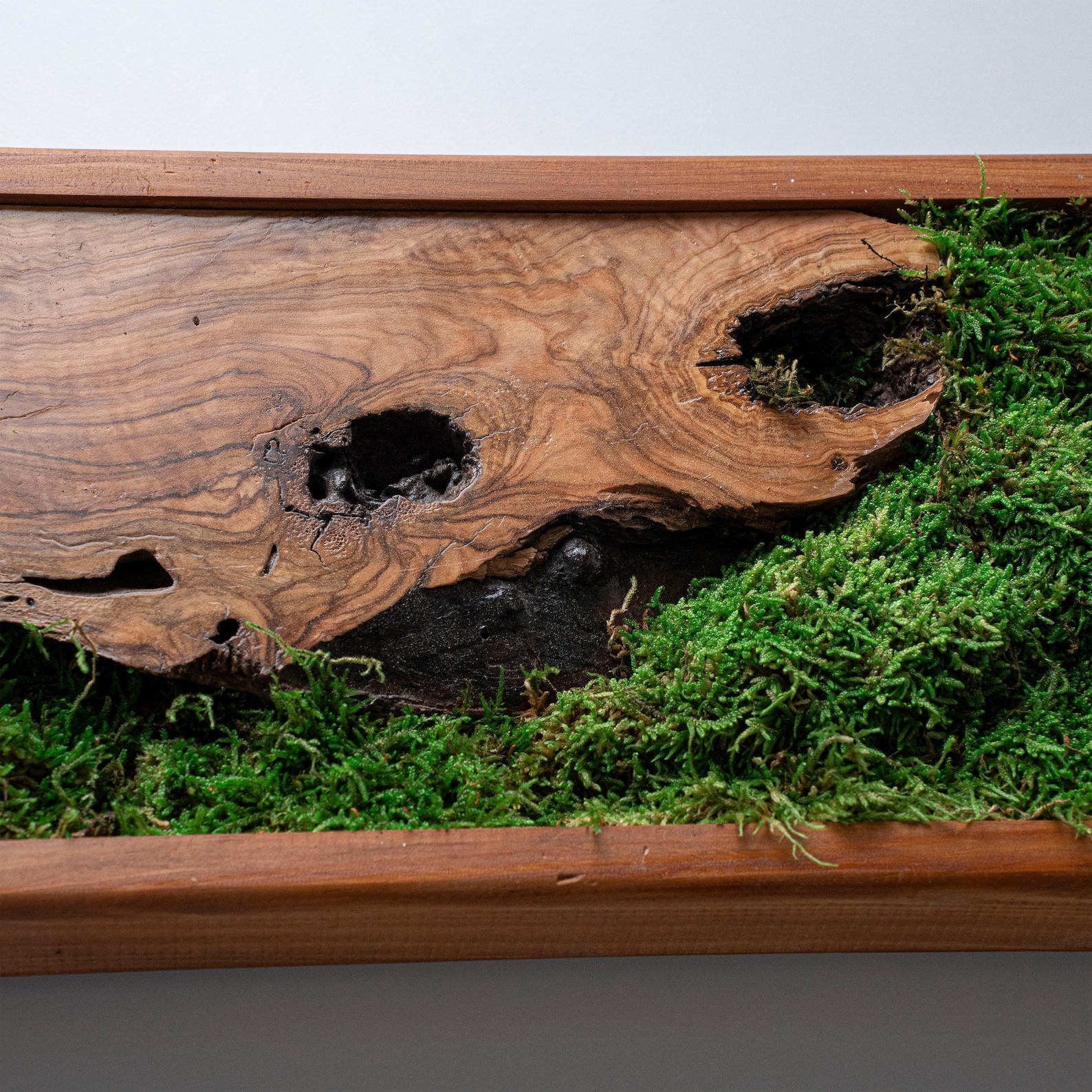 Rustic Moss Wall Art Natural Botanical Wood Frame Decor - Etsy