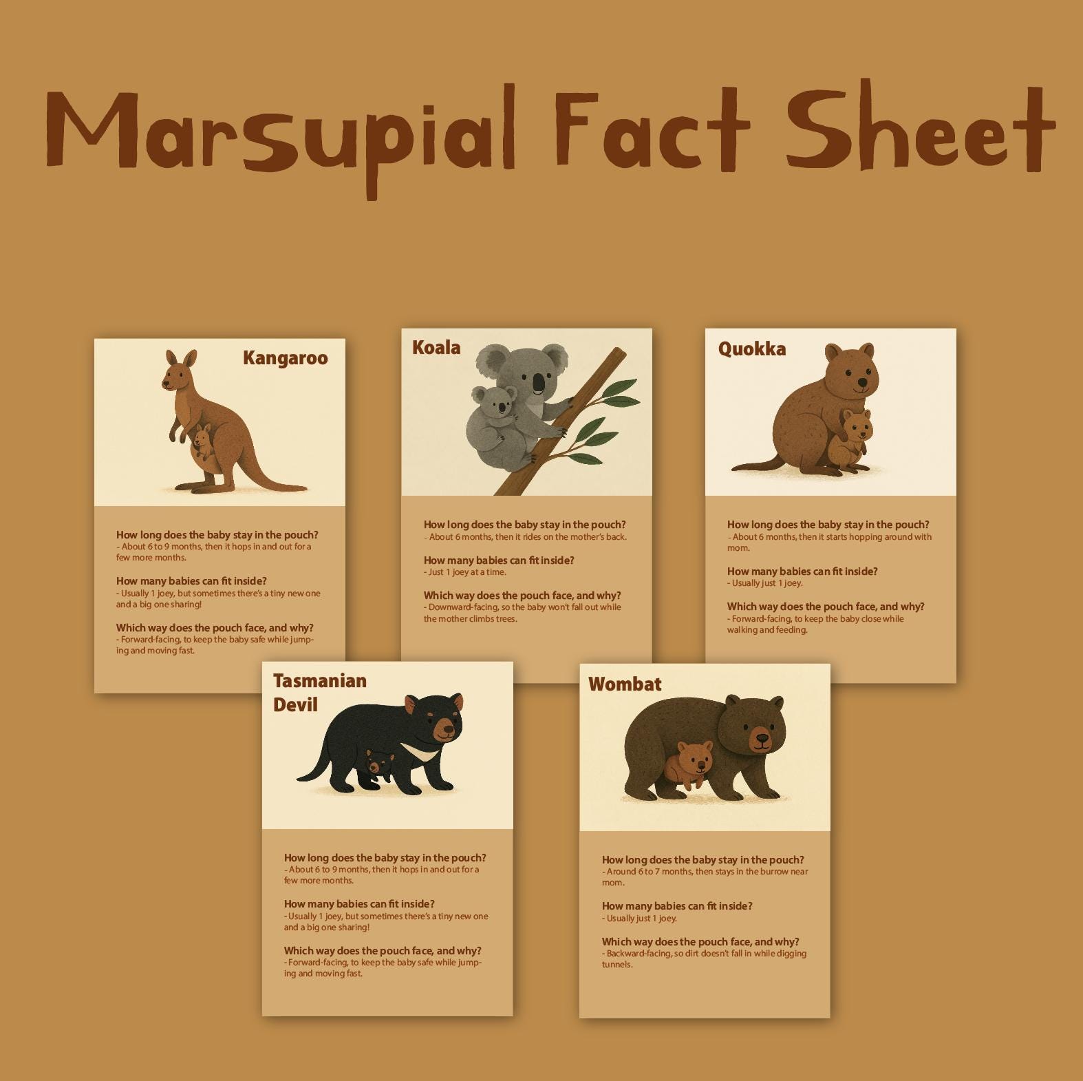 Discover Aussie Animals Montessori Busy Book｜ages 3–7morning Basket ...