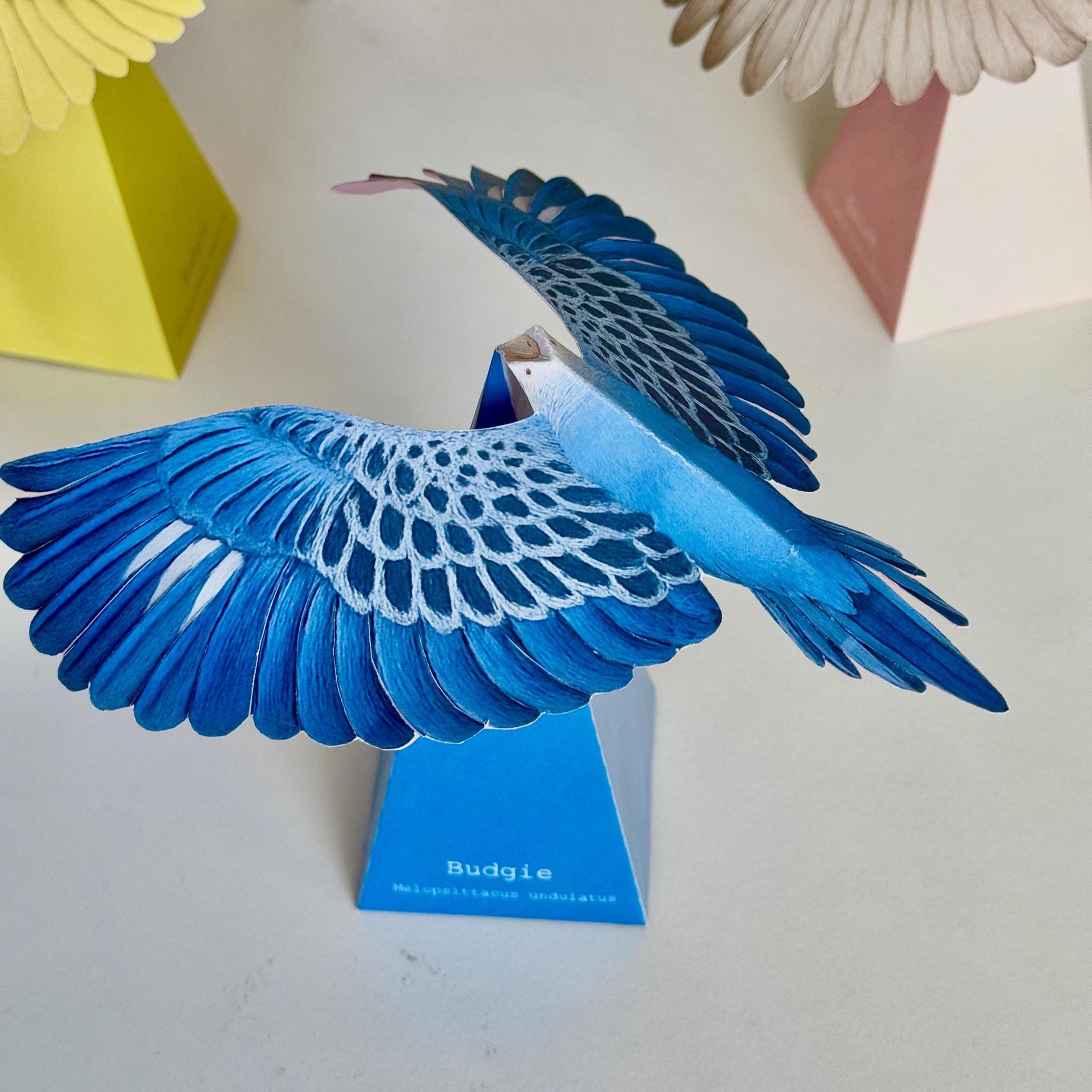 Balancing Blue Budgie Paper Craft | DIY Physics Toy (PDF Pattern) - Etsy