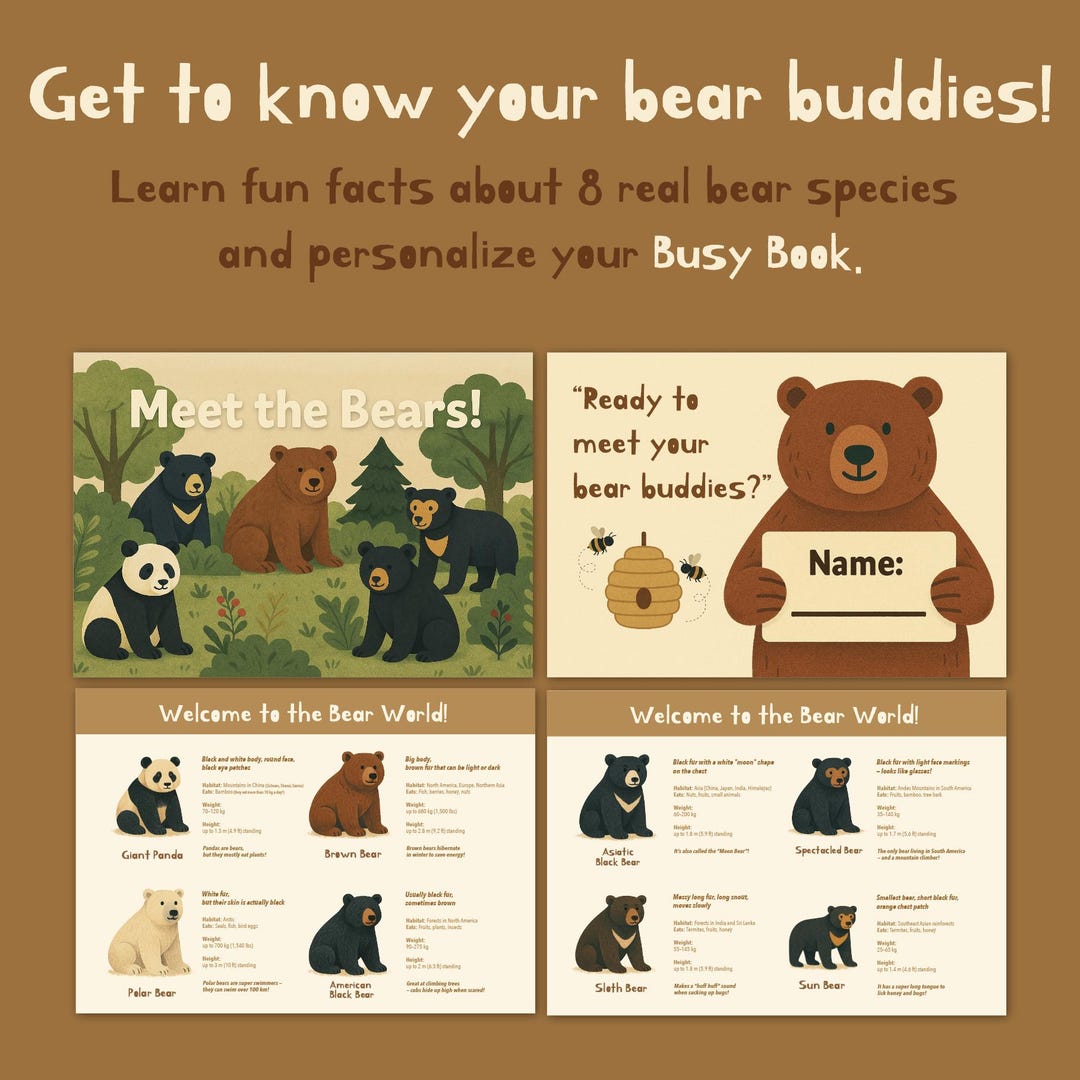 Bear Busy Book Printable | Montessori Animal Activities | Learn About 8 ...
