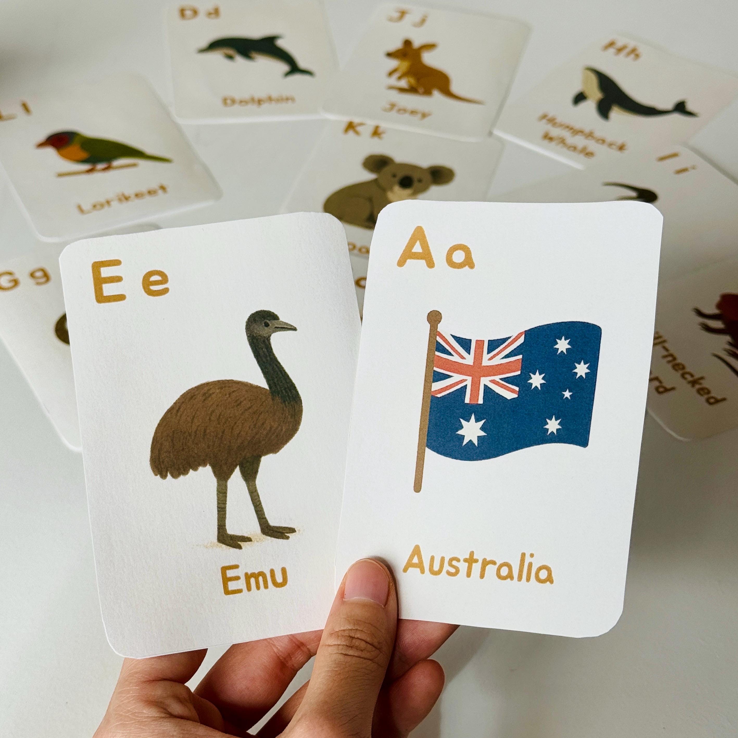 Australian Animal Alphabet Flashcards | Montessori ABC Printable (PDF ...