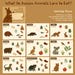 Discover Aussie Animals Montessori Busy Book｜ages 3–7morning Basket ...