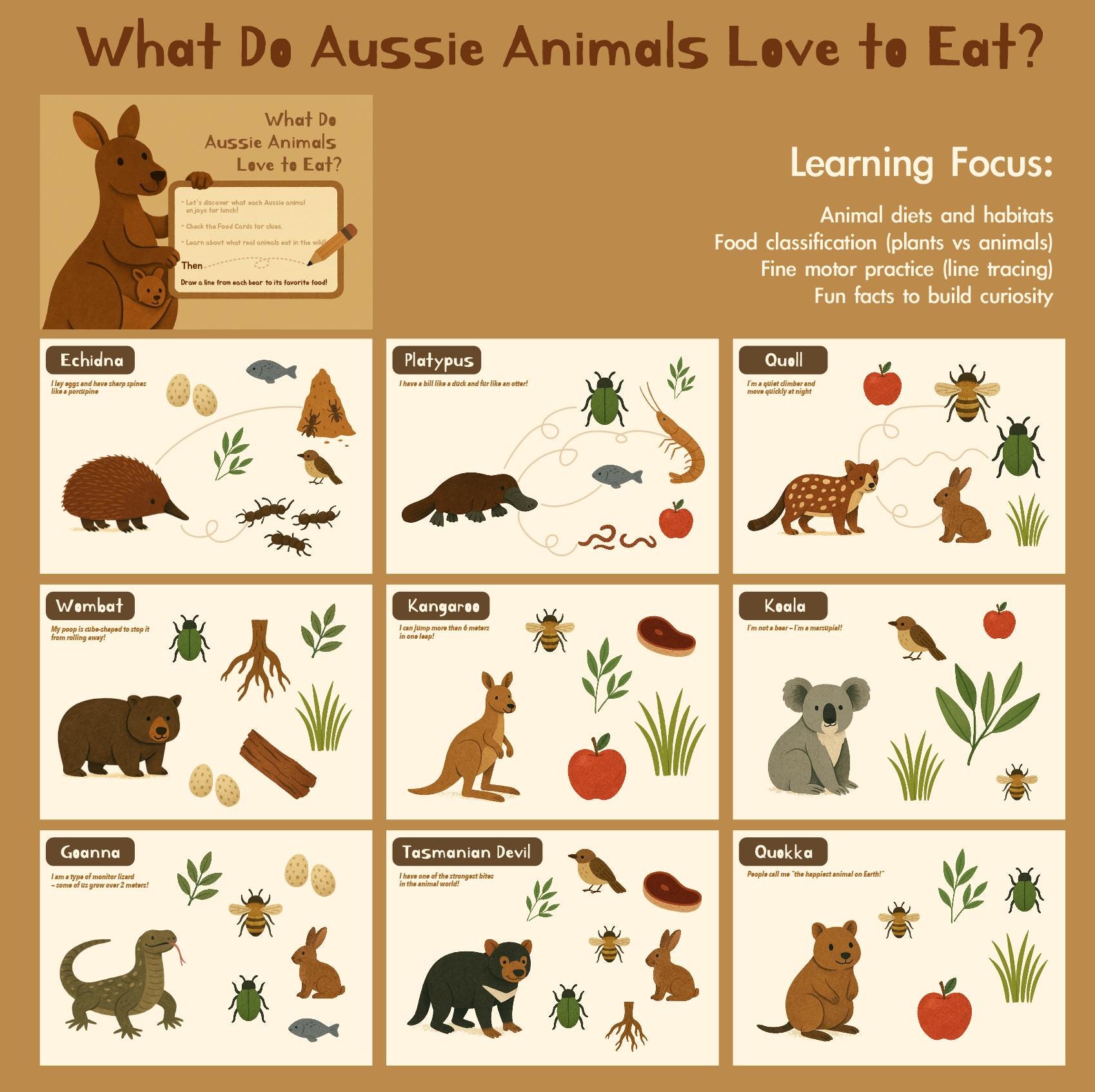 Discover Aussie Animals Montessori Busy Book｜ages 3–7morning Basket ...