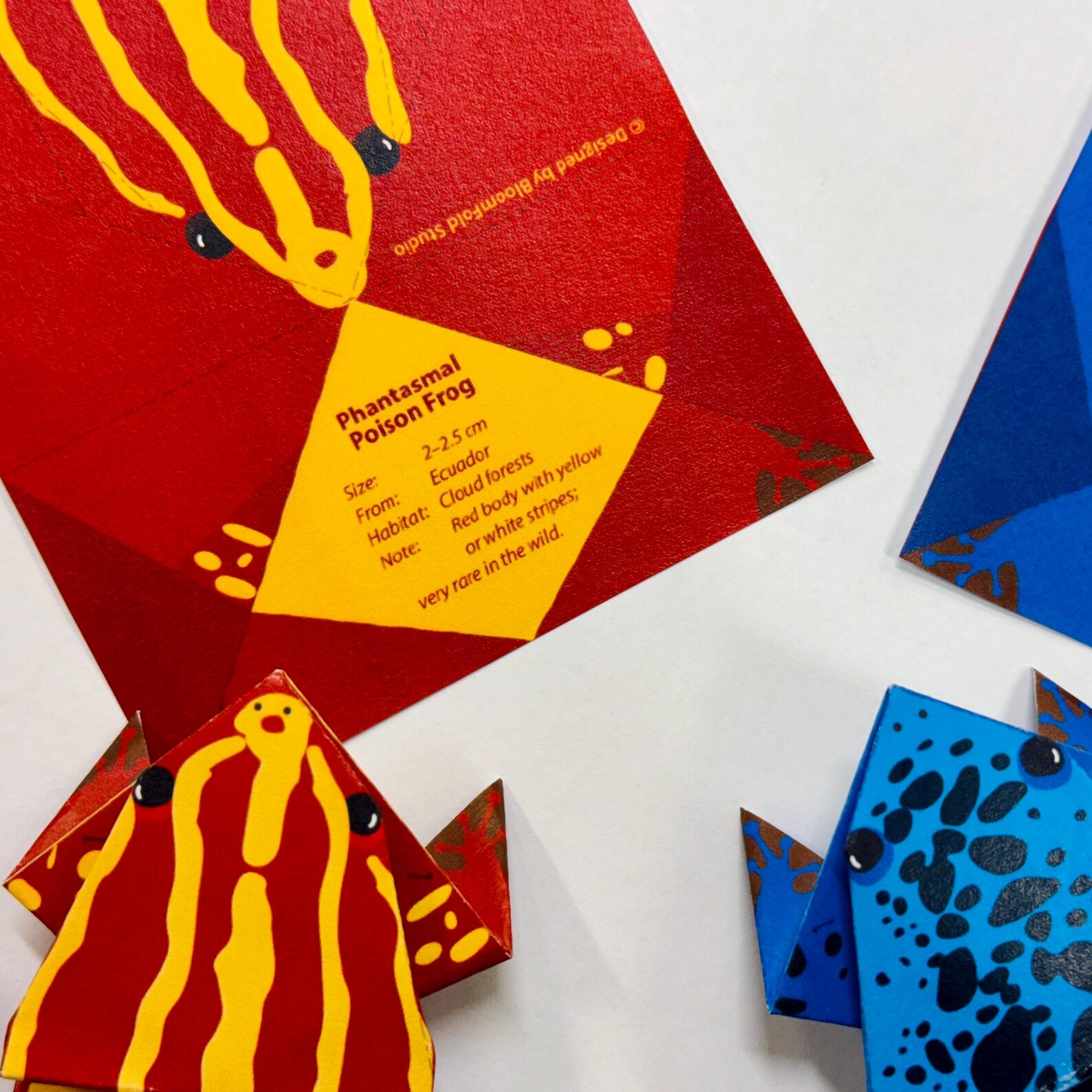 Printable Origami Frog Race Game: DIY Paper Craft Activity (digital ...