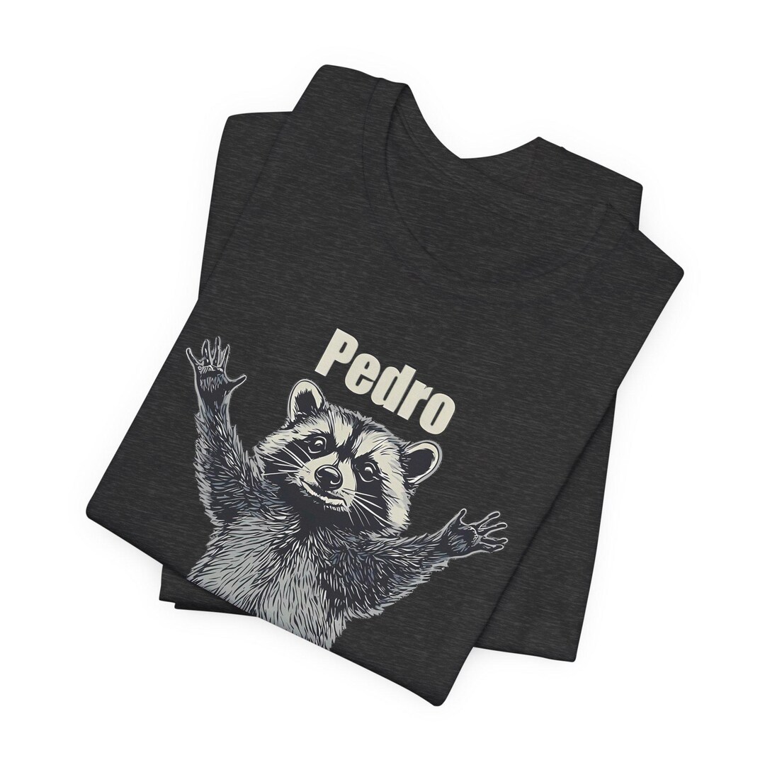 Pedro Racoon Meme, Raccoon Dance, Cute Animal T-shirt, Gift for ...