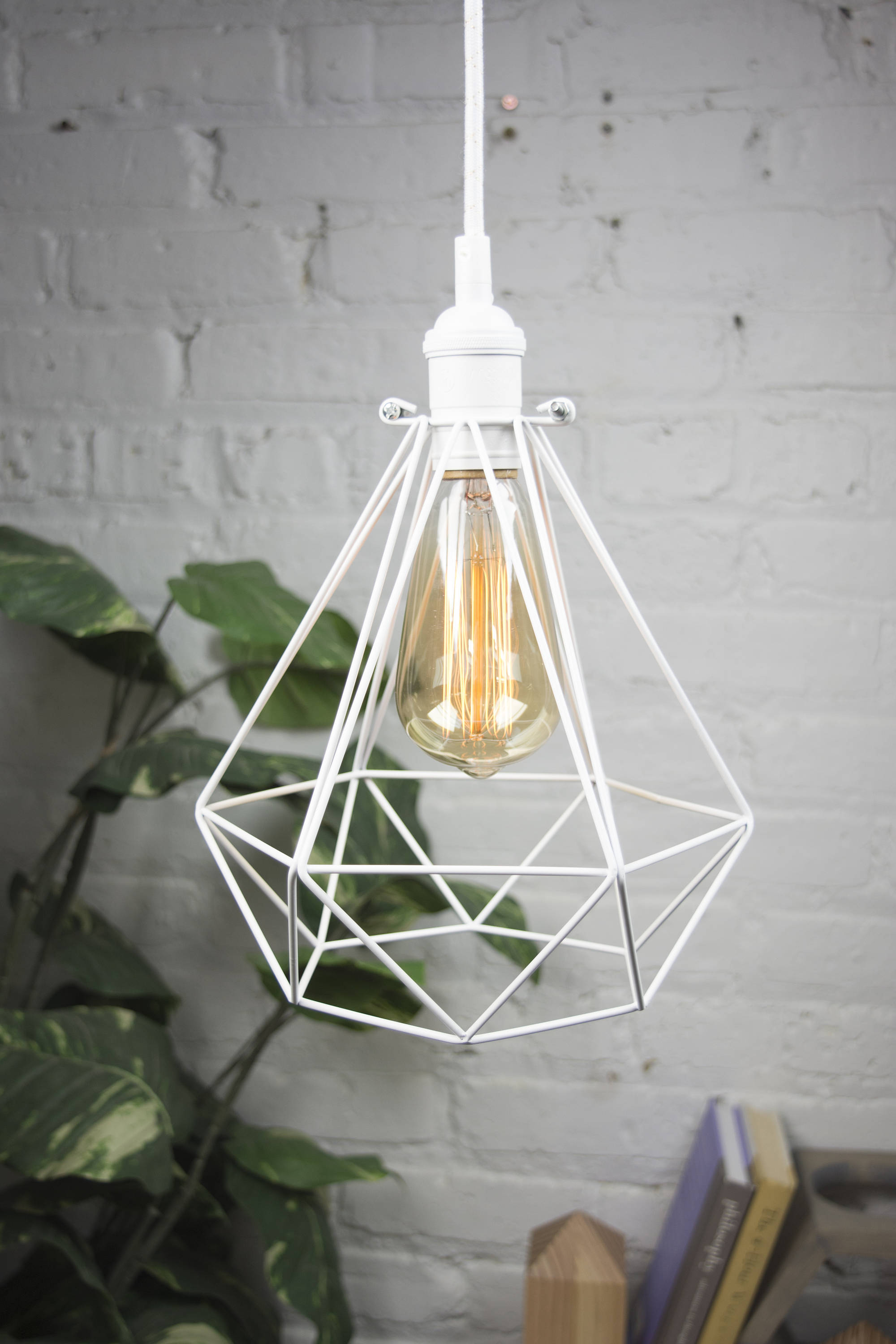 Cage Only Add on Lamp Guard Bulb Guard Industrial - Etsy Australia