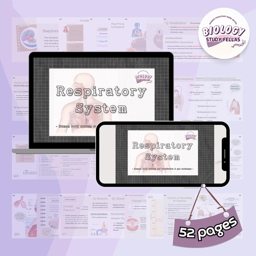 Human Respiratory System Notes - Etsy