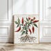 Chilli Wall Art, Trendy Wall Art Print, Botanical Kitchen Decor ...
