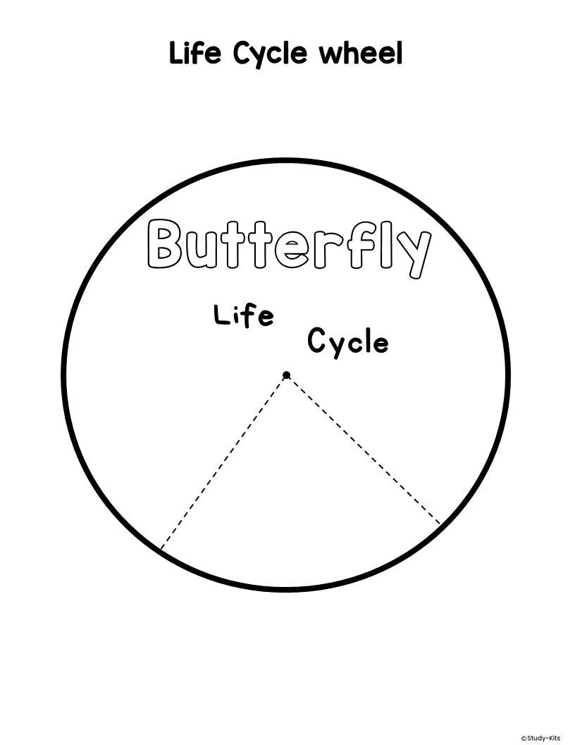 Printable Coloring Page Butterfly Life Cycle - Etsy
