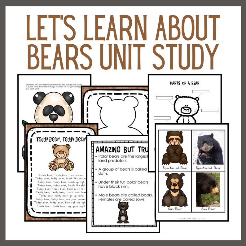 Bear Preschool Activity Pack | Printable Learning Unit | Early ...