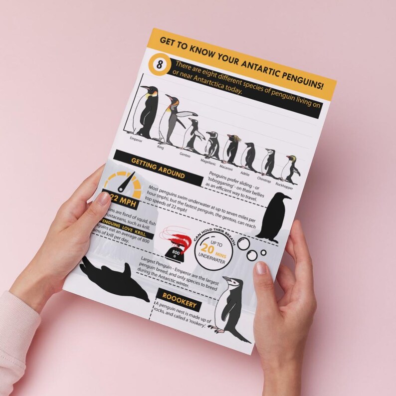 Penguin Unit Study, Kids Printable Download, School Arctic Animals ...