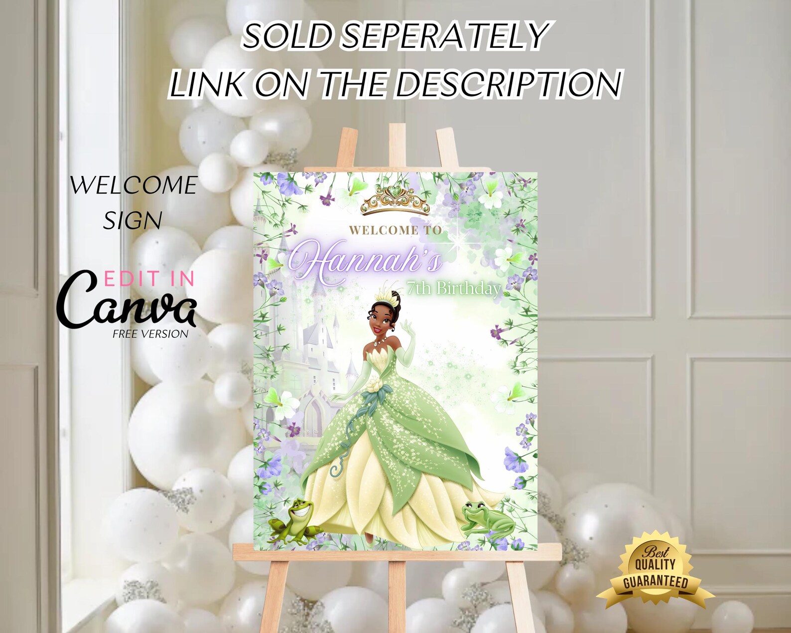 Princess and the Frog Party Pack, Princess Tiana Birthday Party Package ...