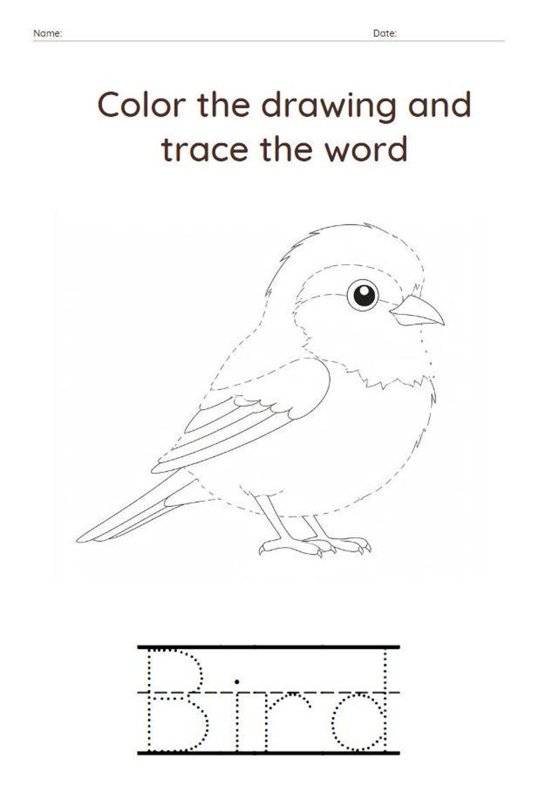 Coloring and Tracing Activity Book - Etsy