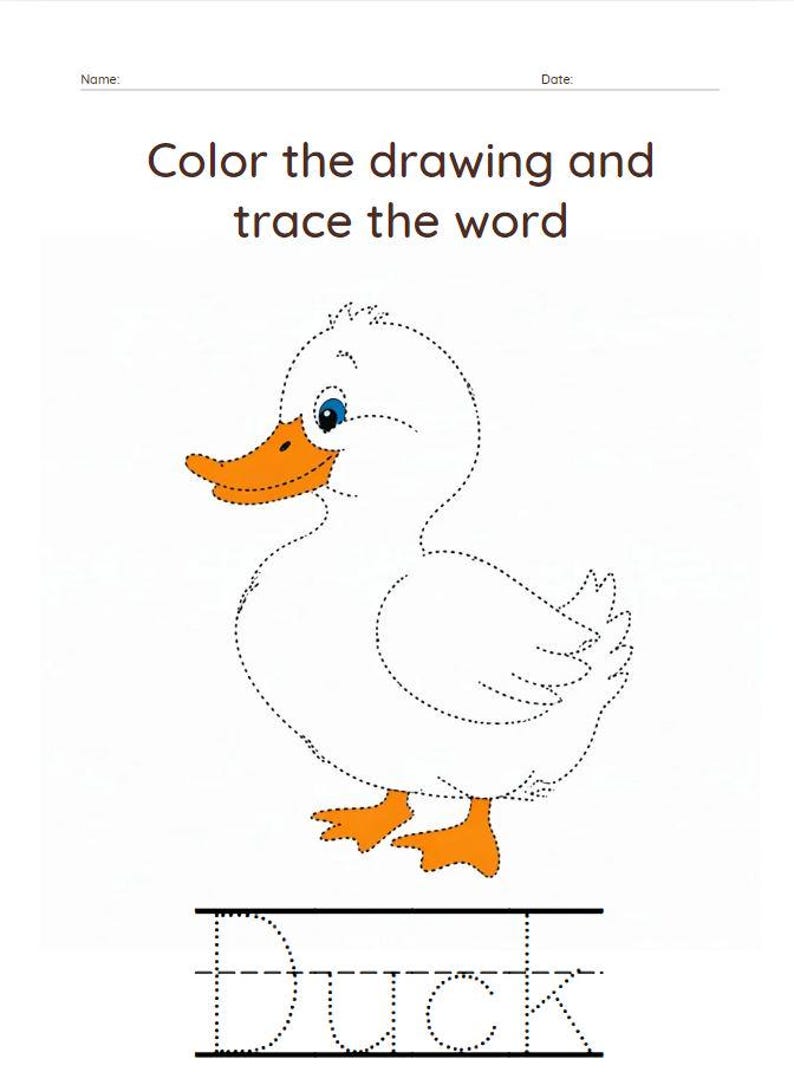 Coloring and Tracing Activity Book - Etsy