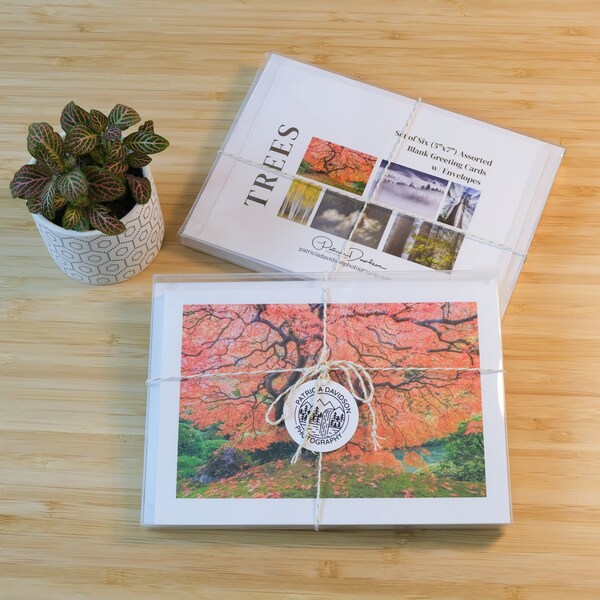 Greeting Card Box - Etsy