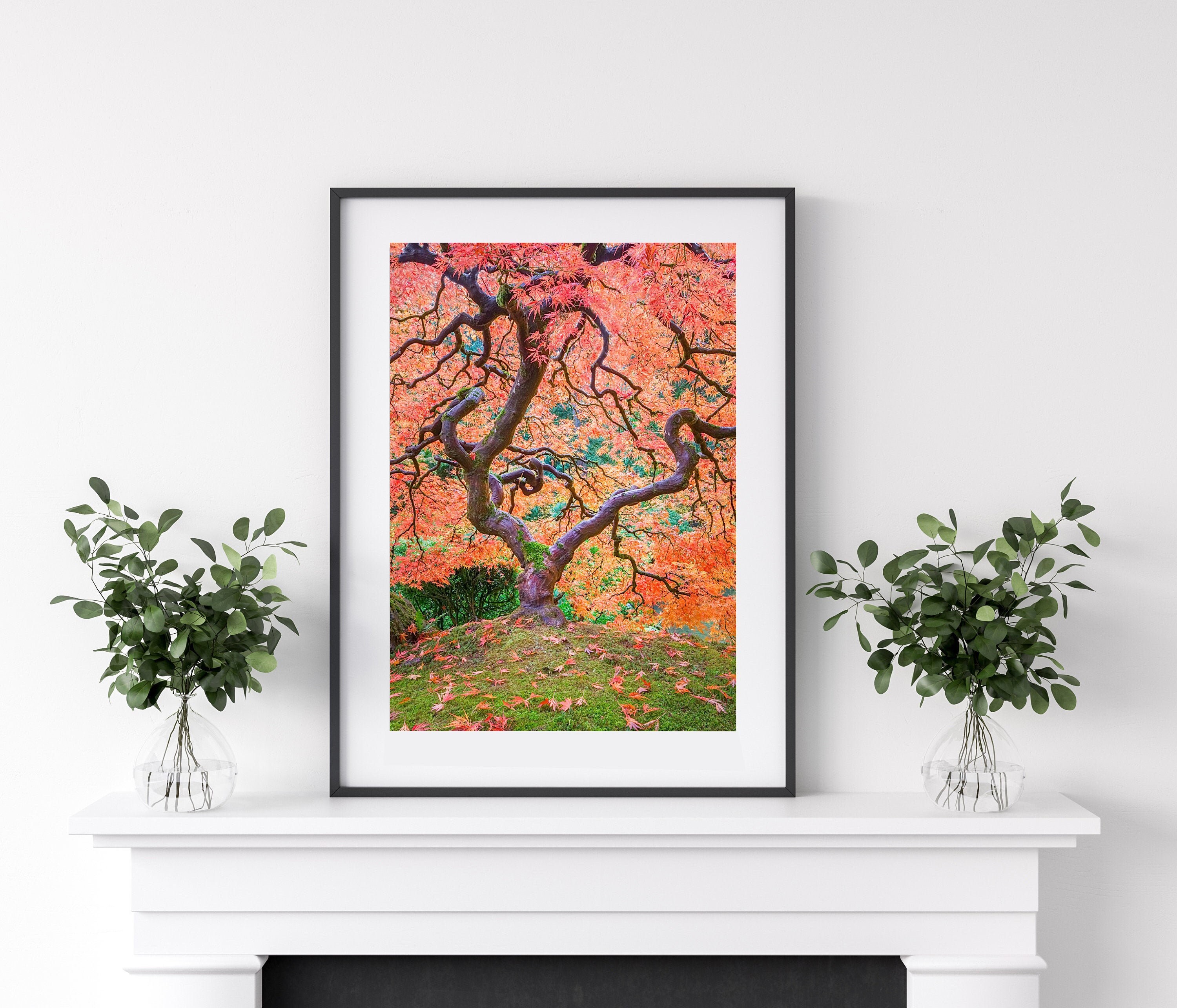 Japanese Maple Tree Print Wall Decor Art Print Portland - Etsy Australia