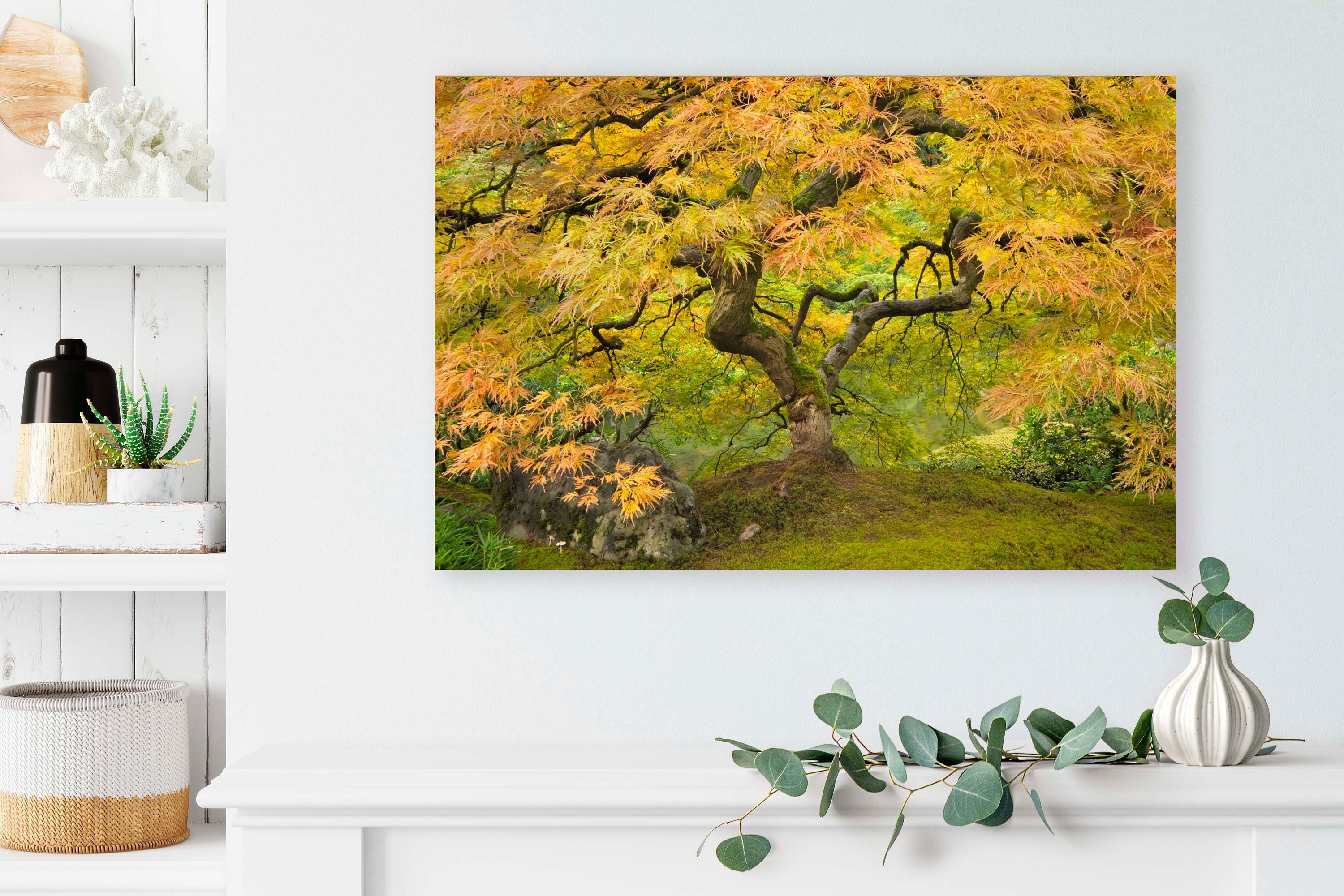Japanese Maple Tree Art Print Portland Oregon Photography - Etsy