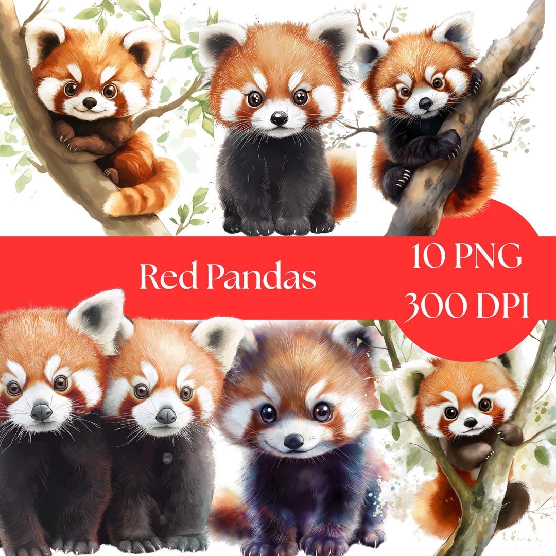 Watercolor Red Panda Clipart, Cute Red Panda PNG, Digital Download ...