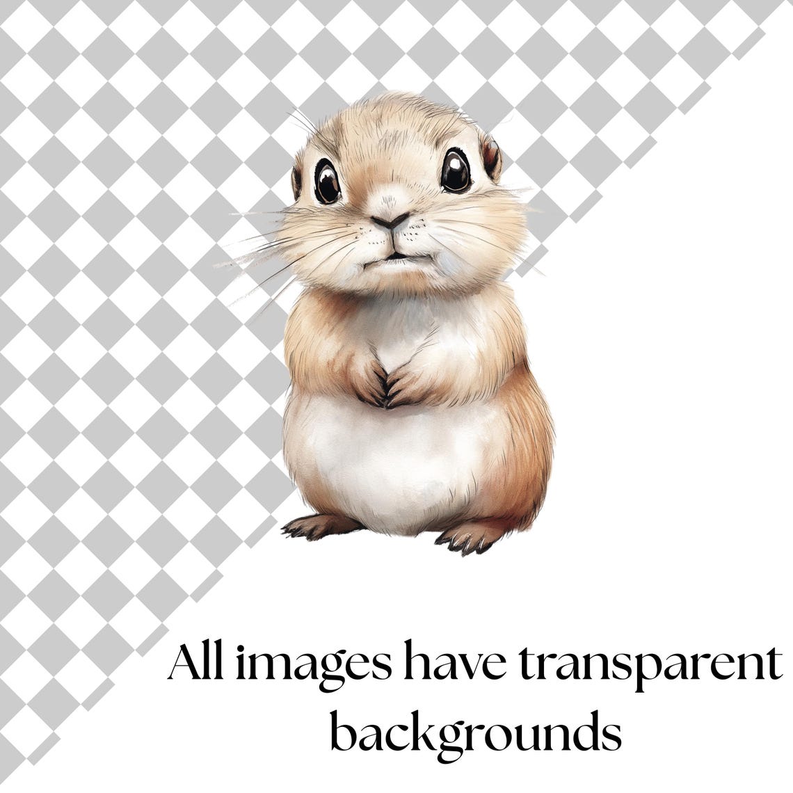 Prairie Dog Clip Art, Cute Animal PNG, Watercolor Prairie Dog Art, Zoo ...
