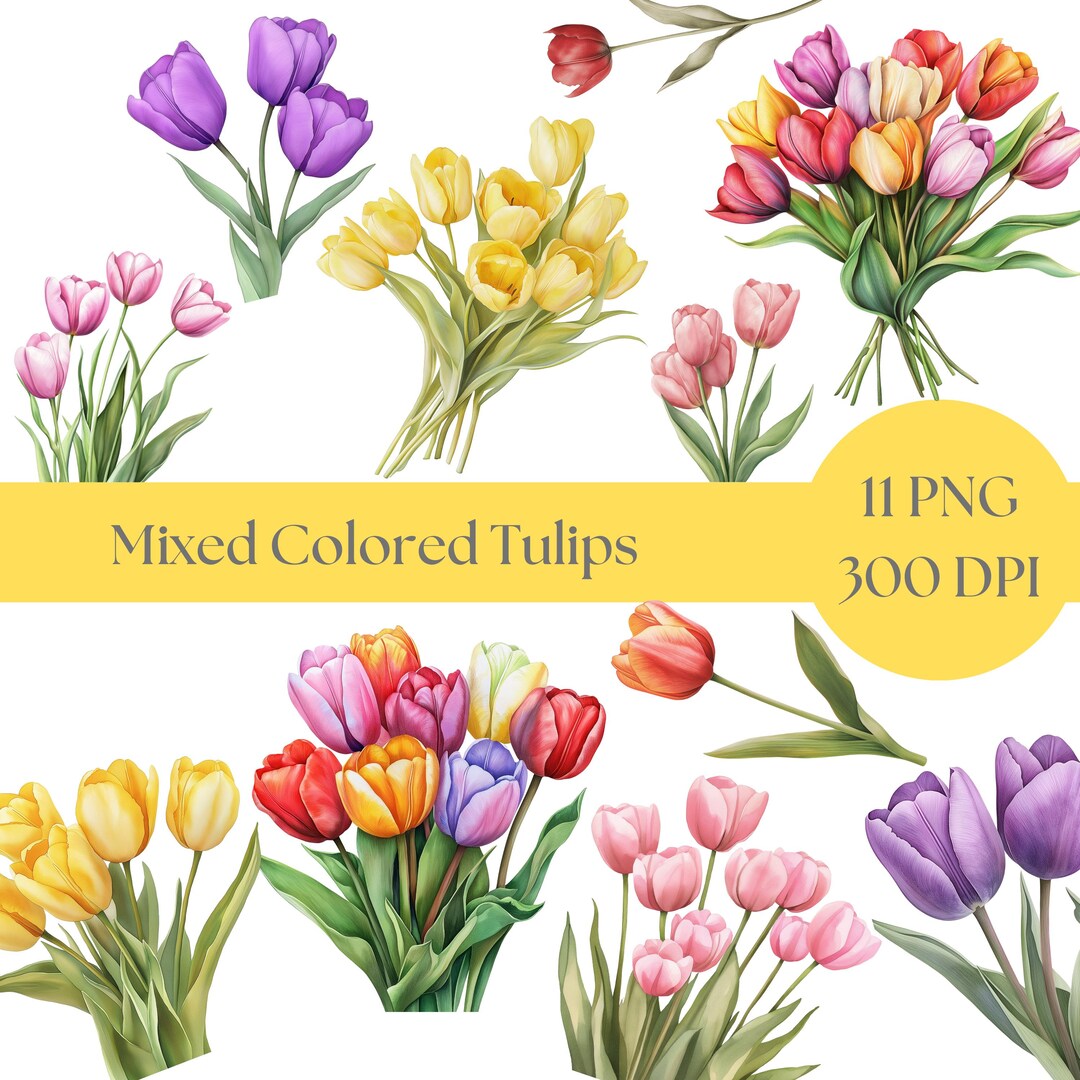 Watercolor Tulip Clip Art, Spring Floral PNG, Digital Download, Tulip ...