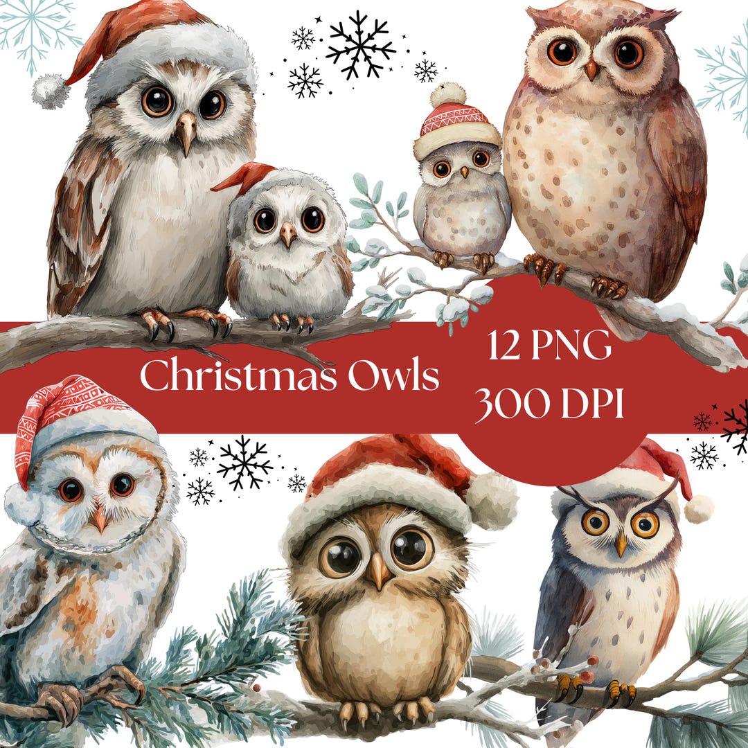 Christmas Owl Clipart, Whimsical Winter Owl PNG, Digital Download for ...