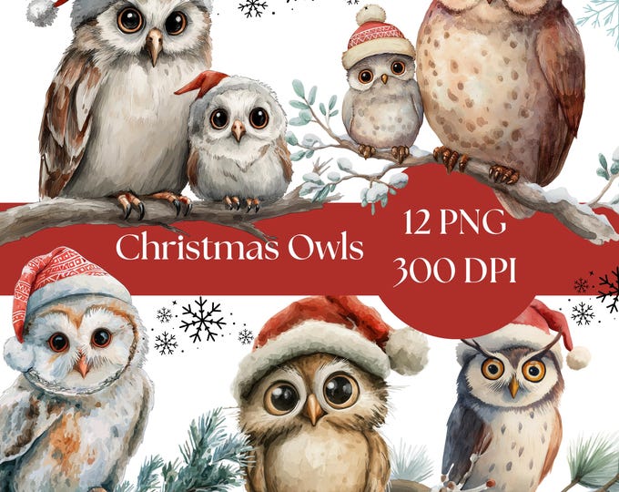 Watercolor Christmas Owl Clipart – Festive Winter Bird PNG, Holiday ...
