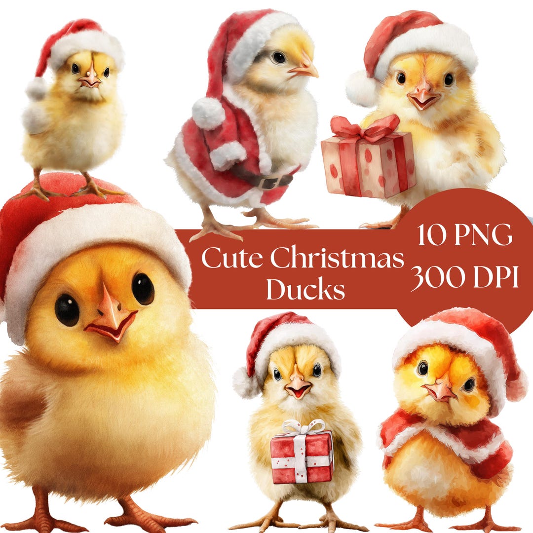 Christmas Duck Clip Art: Holiday PNG Digital Download - Etsy