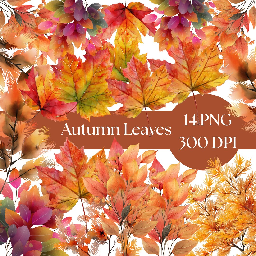 Watercolor Fall Clipart Bundle: Cozy Pumpkin & Leaves (commercial Use ...