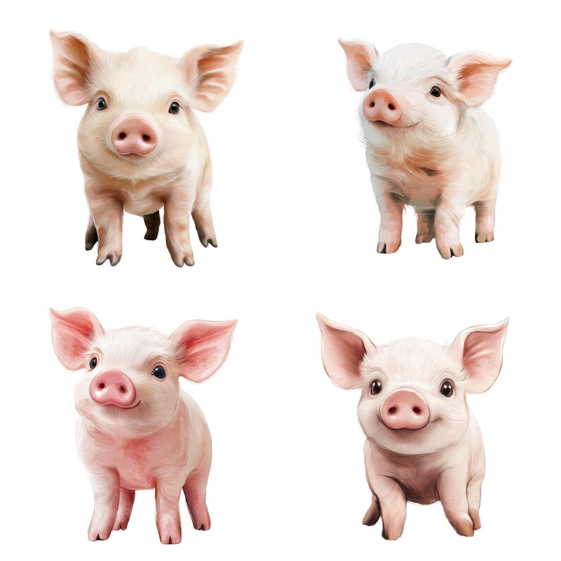 Watercolor Piglet Clipart: Adorable Farm Animal PNG (digital Download ...