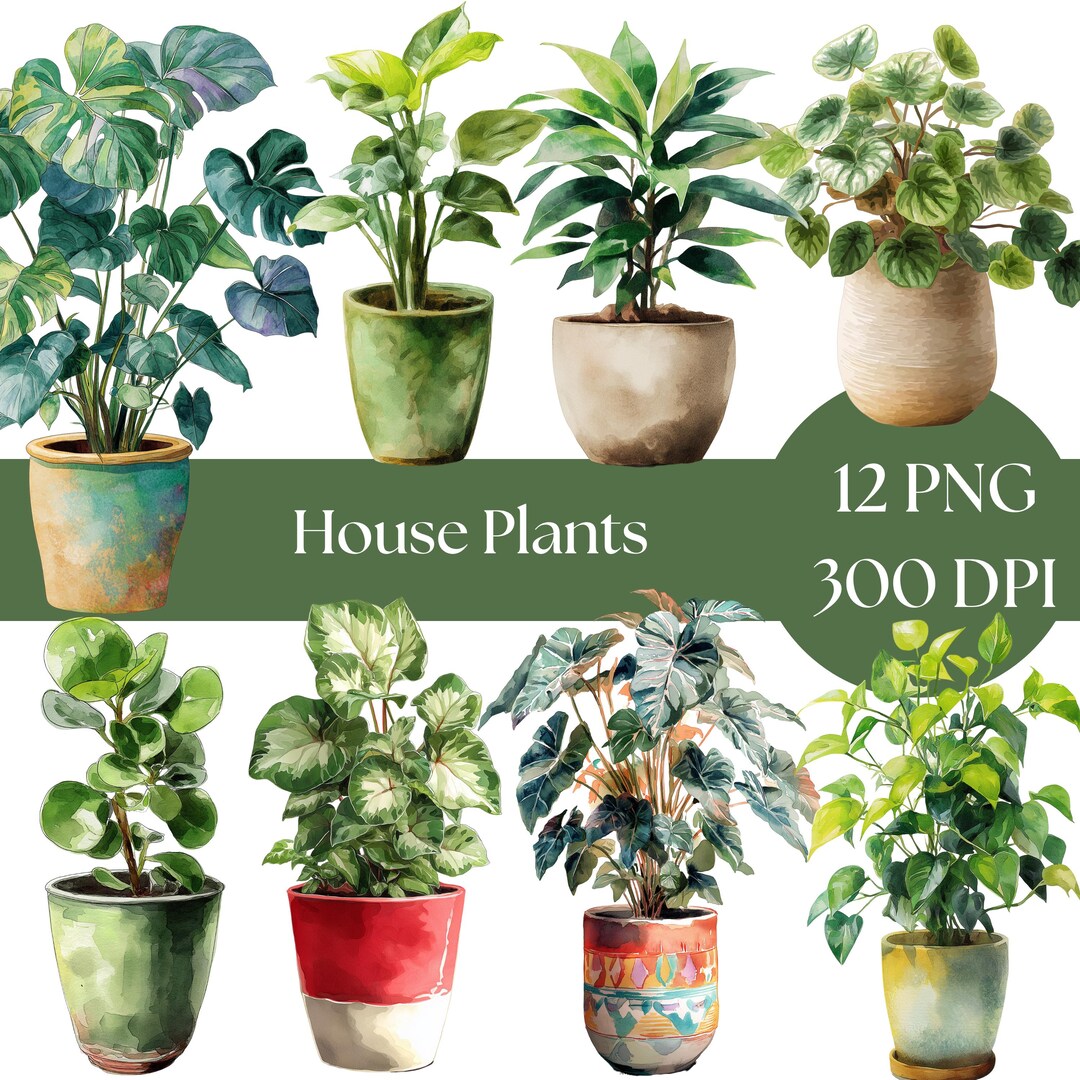 Watercolor House Plant Clip Art: Potted Succulents (PNG Digital ...