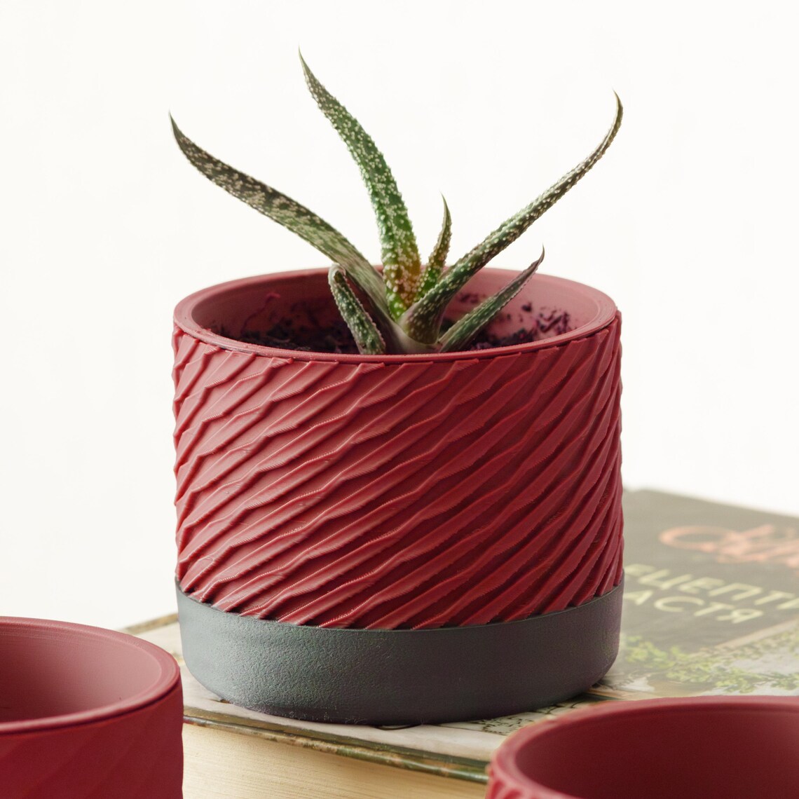 3D Printed Mini Planter Set: Modern Red & Gray Plant Pots - Etsy