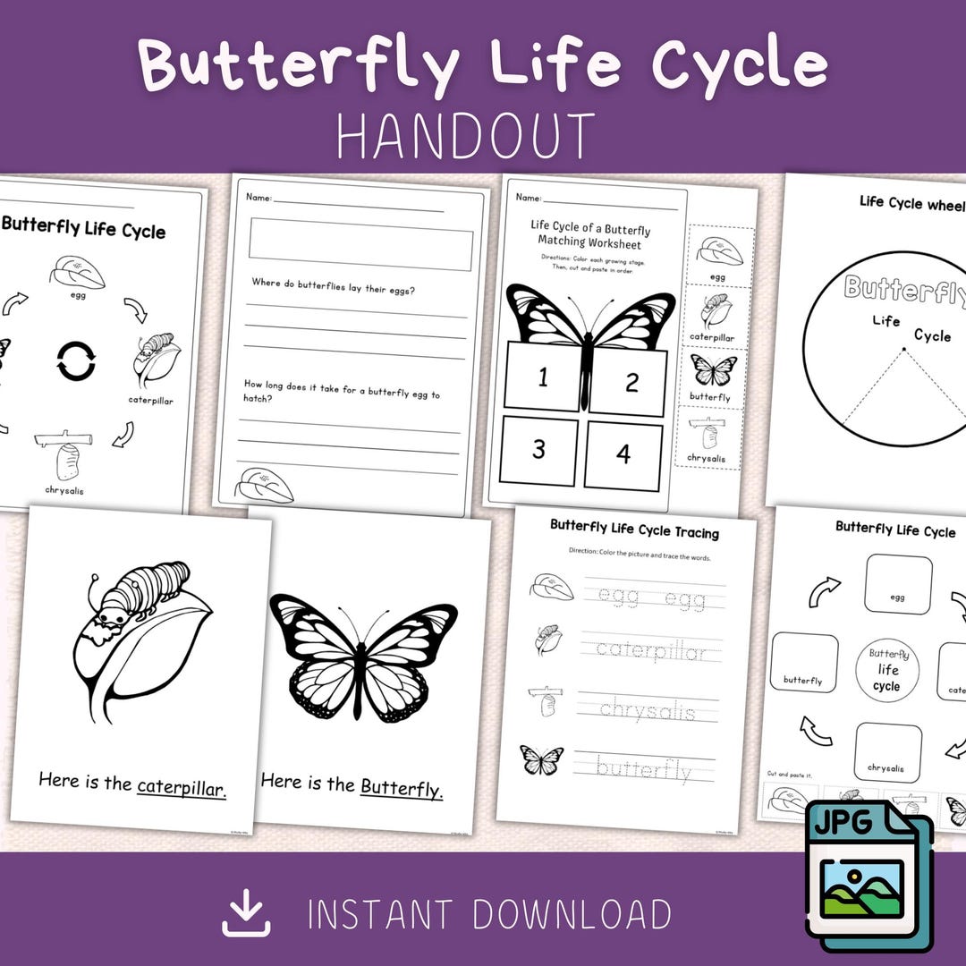 Butterfly Life Cycle Handouts | 21-page Educational Worksheets ...