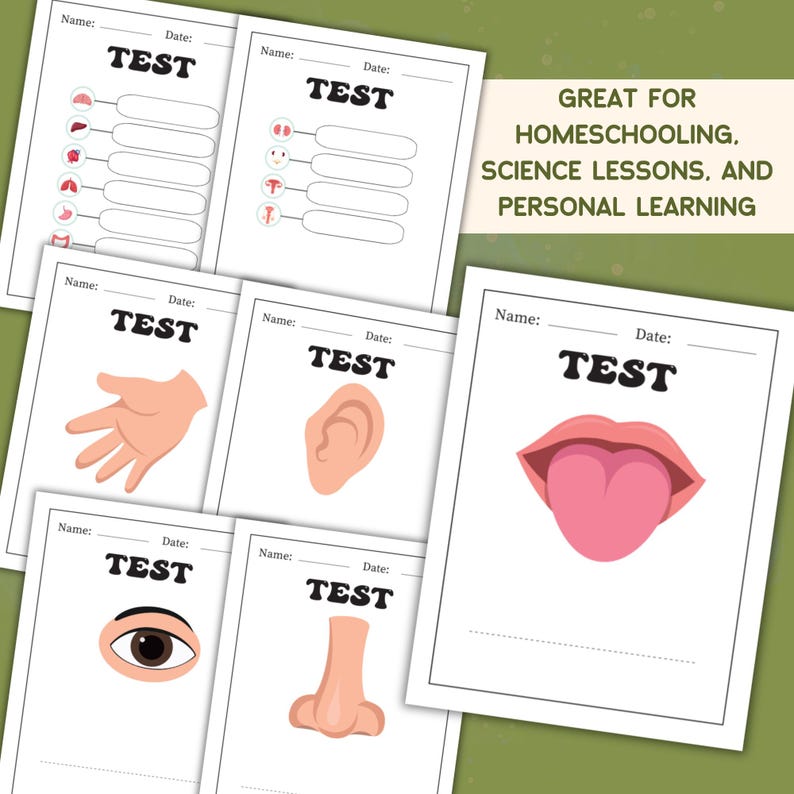 Anatomy 101 Coloring Pages for Kids Human Body Organs Educational ...